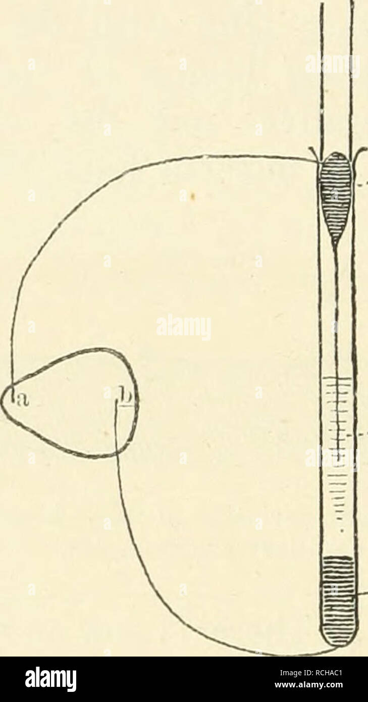 Capillary Electrometer High Resolution Stock Photography and Images - Alamy
