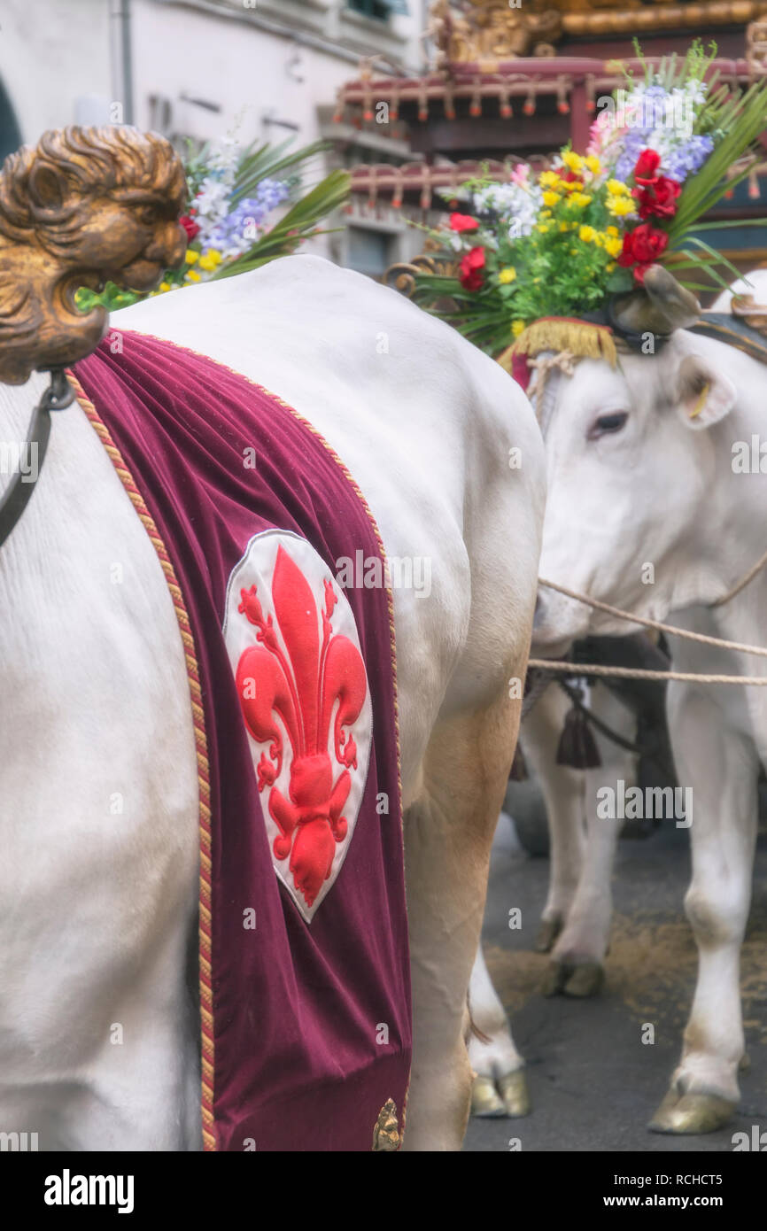 Explosion High Resolution Stock Photography and Images - Alamy