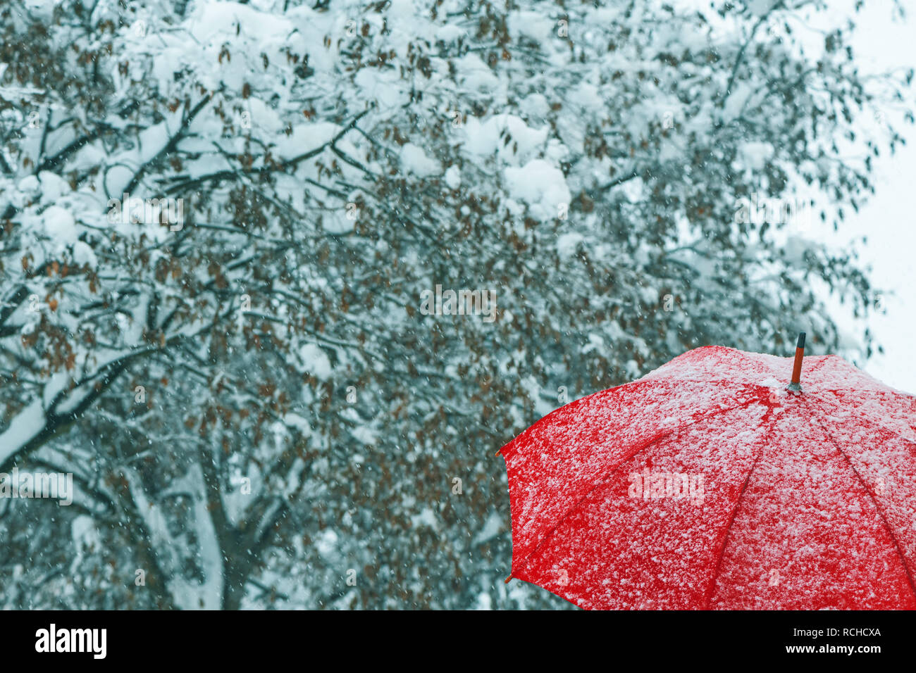 Red umbrella snow hi-res stock photography and images - Alamy