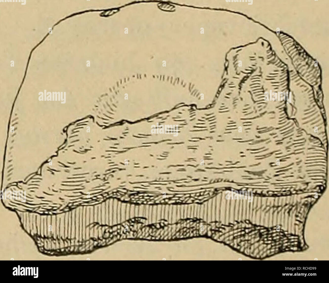 1907 vorderansicht hi-res stock photography and images - Alamy