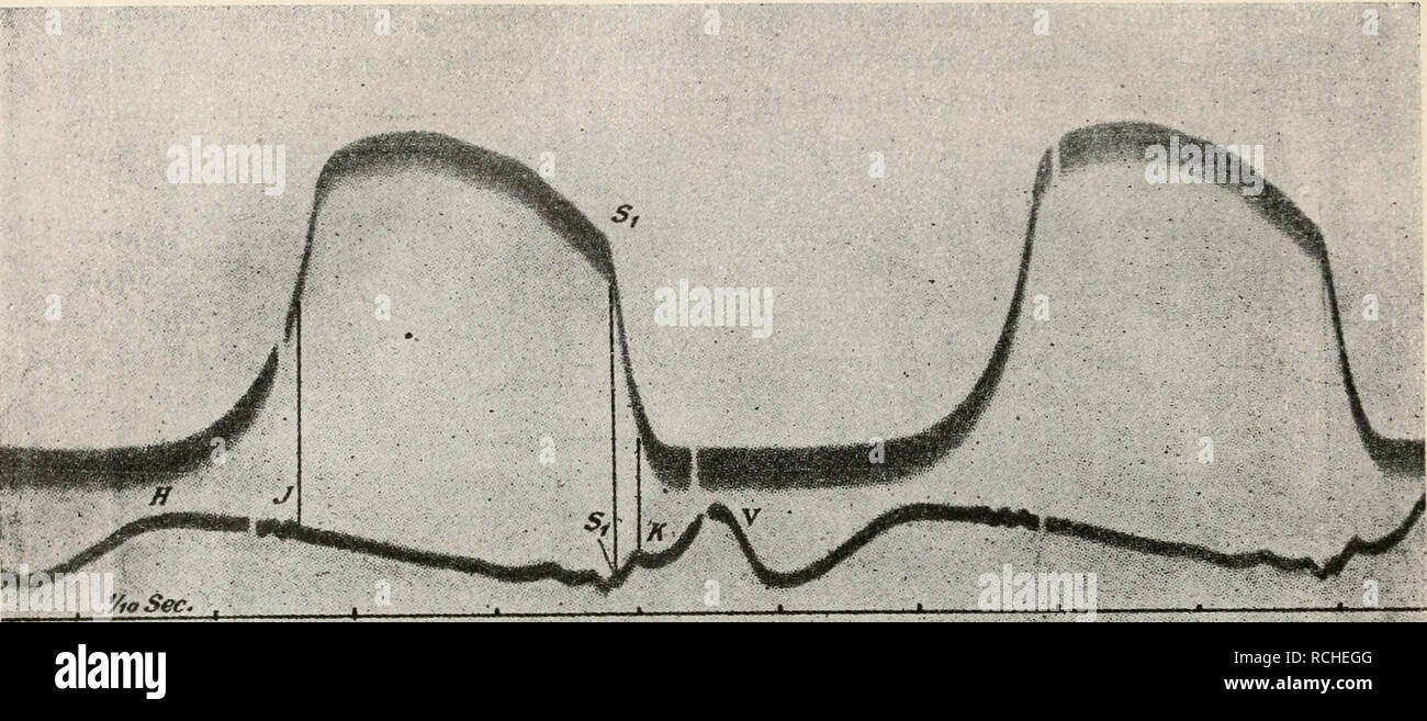 . Die Physiologie des Kreislaufes. Cardiovascular system. 128 Die mechanischen Leistungen des ...