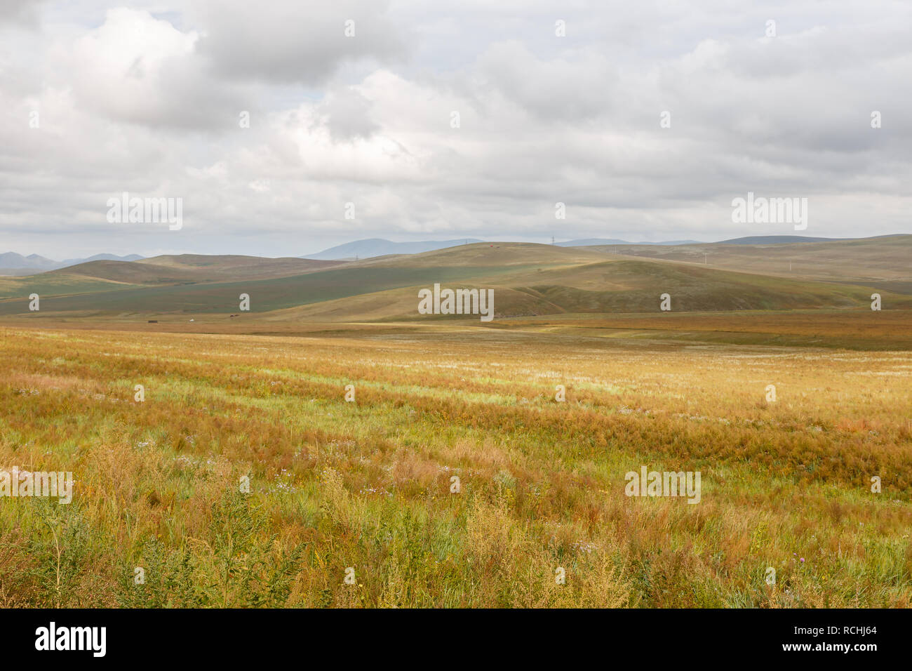 Grass mongolian steppe dry hi-res stock photography and images - Alamy