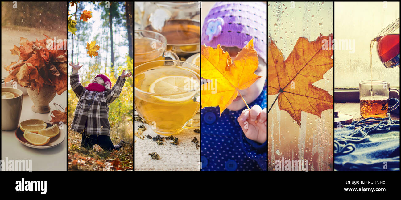 Collage of children and autumn. Selective focus Stock Photo - Alamy