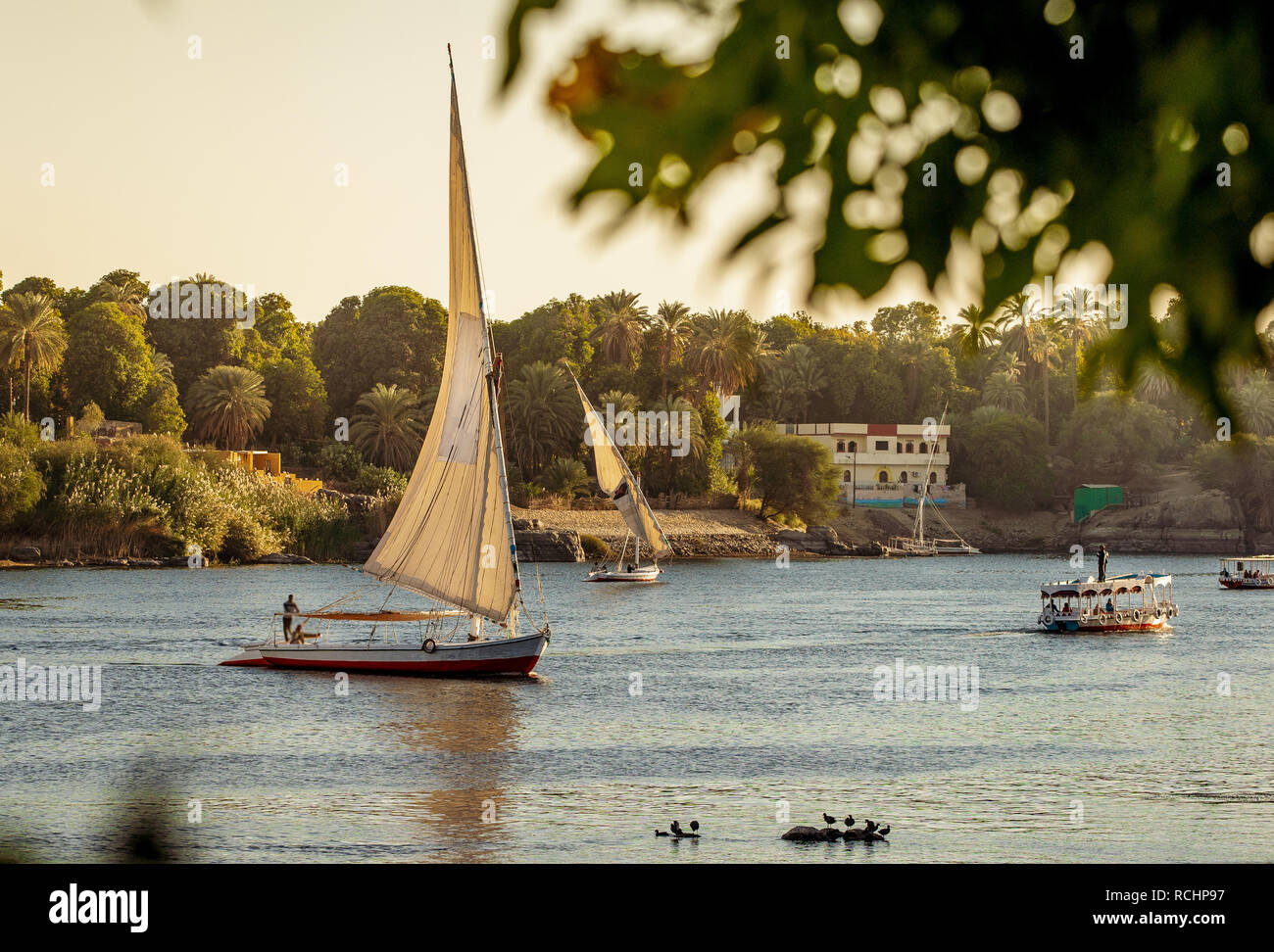 Scenic egyptian sunset on the Nile river with Felluca boats in Luxor ...