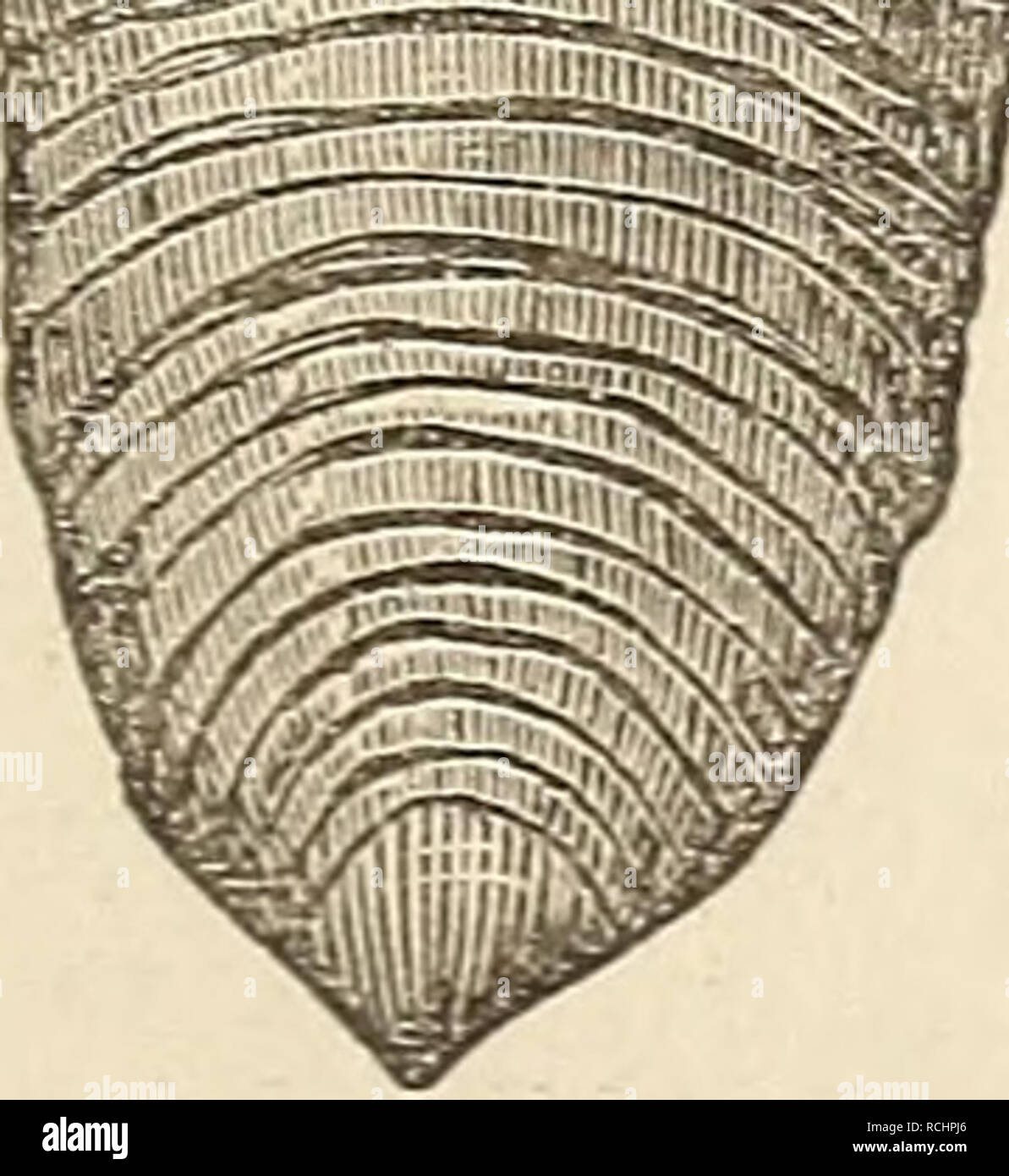 Thins castle hi-res stock photography and images - Alamy