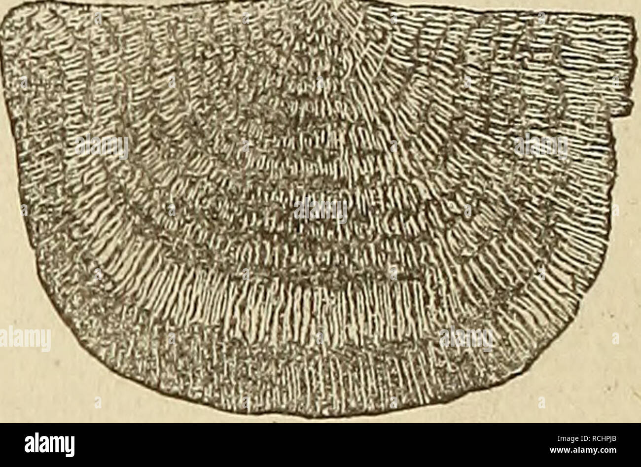 . Elements of geology, or, The ancient changes of the earth and its ...