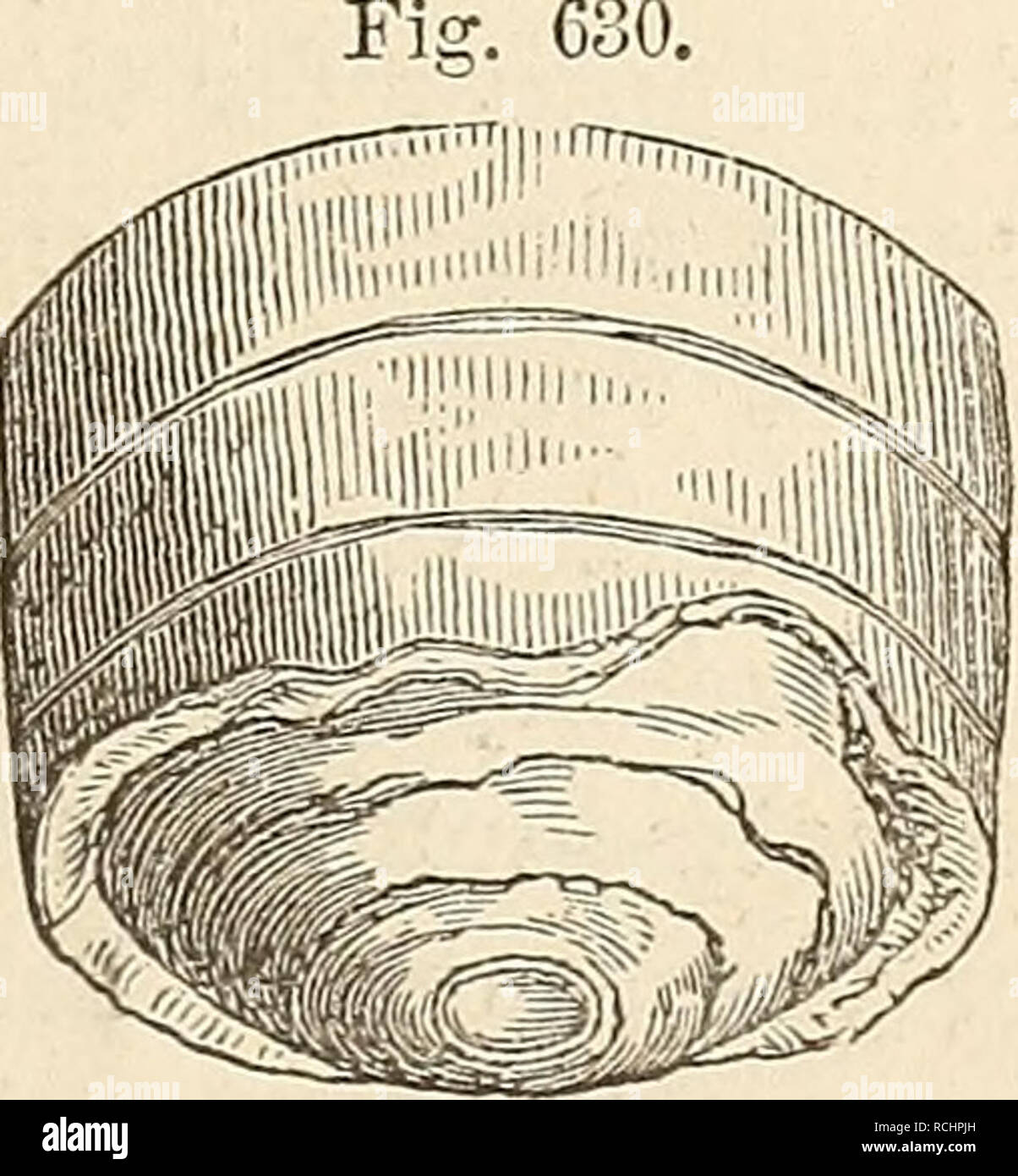 . Elements of geology, or, The ancient changes of the earth and its ...