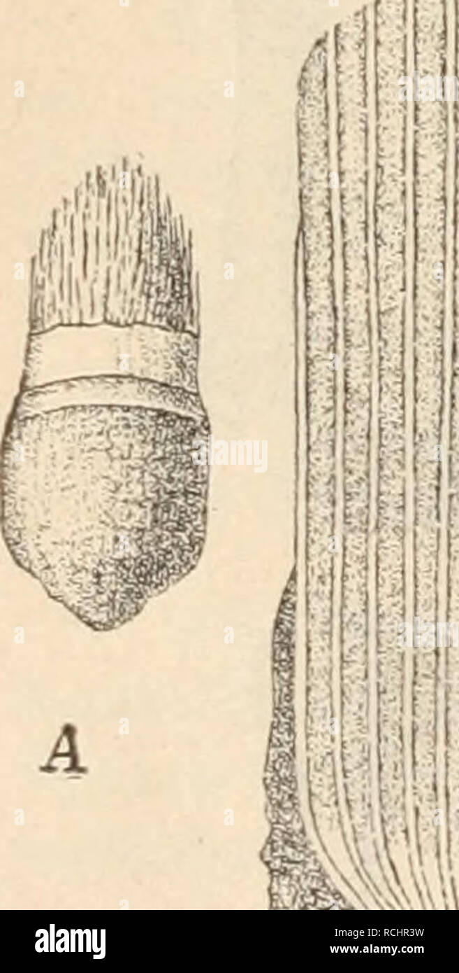 Kaum erkennbar hi-res stock photography and images - Alamy