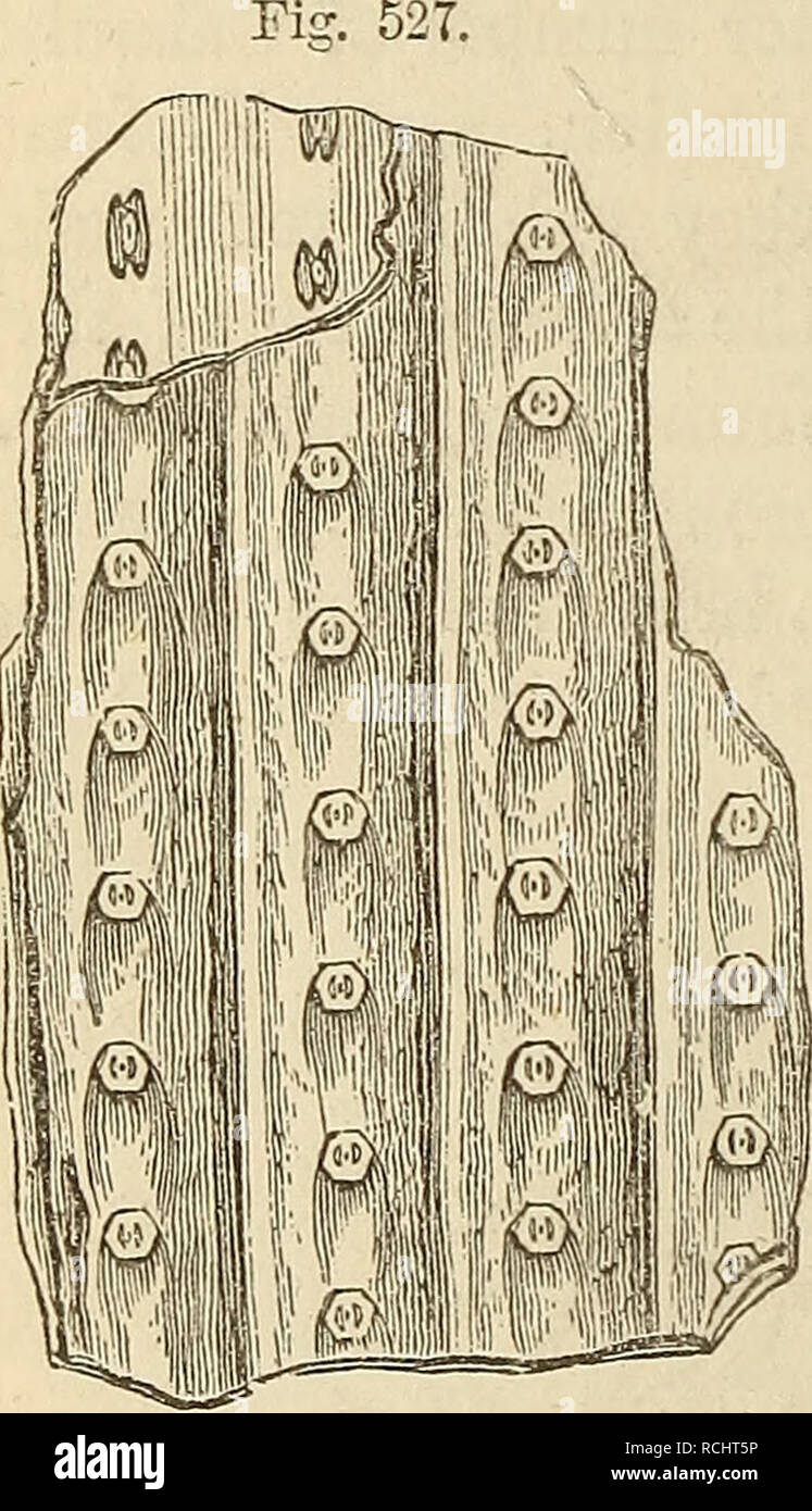 . Elements of geology, or, The ancient changes of the earth and its ...