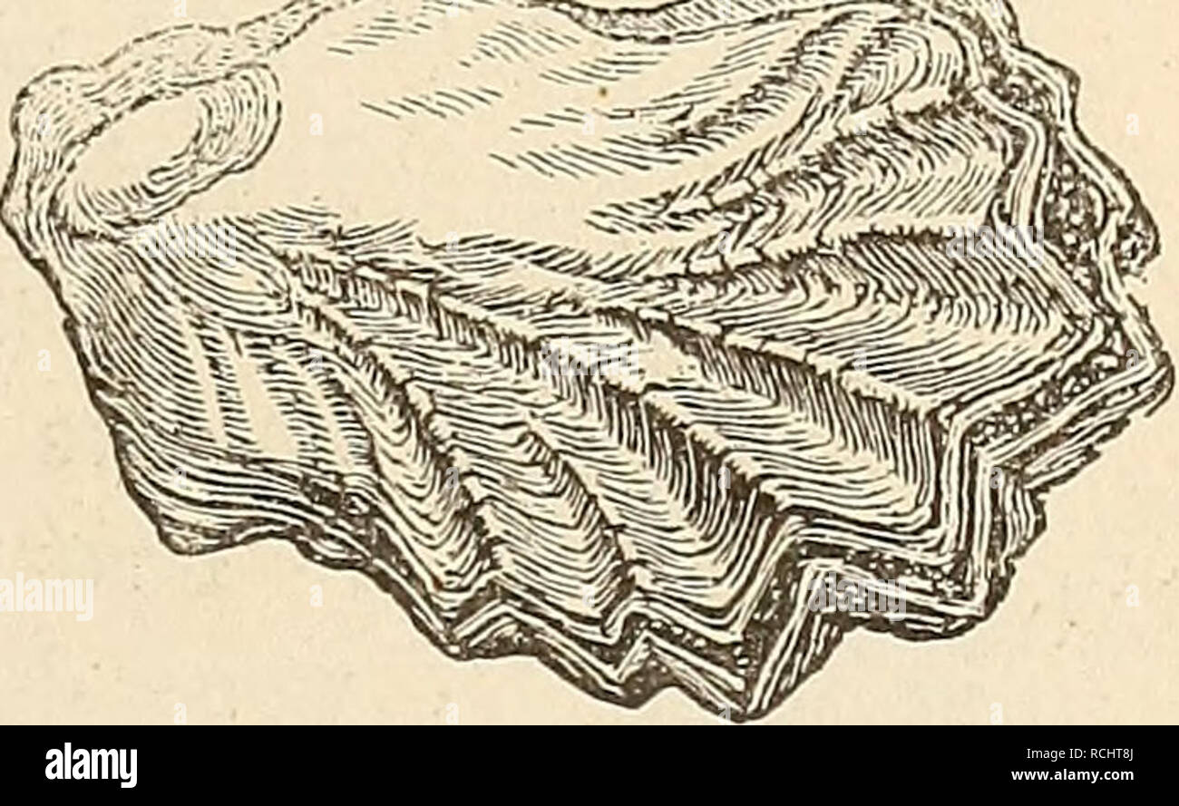. Elements of geology, or, The ancient changes of the earth and its ...