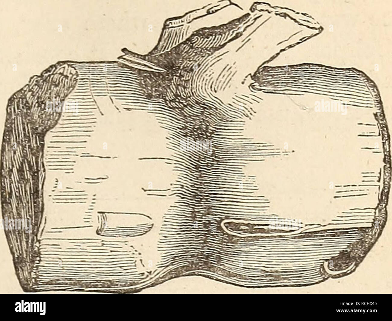 . Elements of geology, or, The ancient changes of the earth and its ...