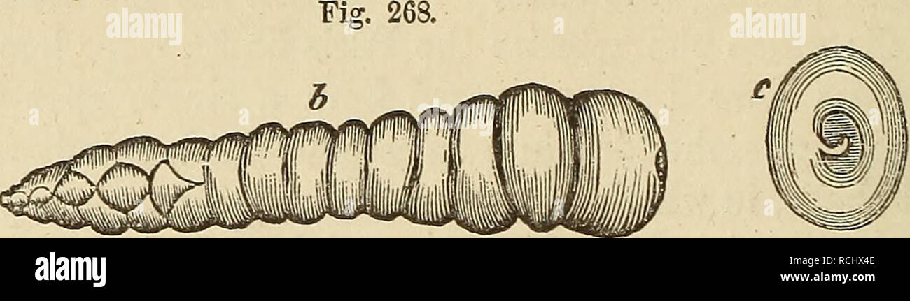 Microscopic sand grains hi-res stock photography and images - Alamy