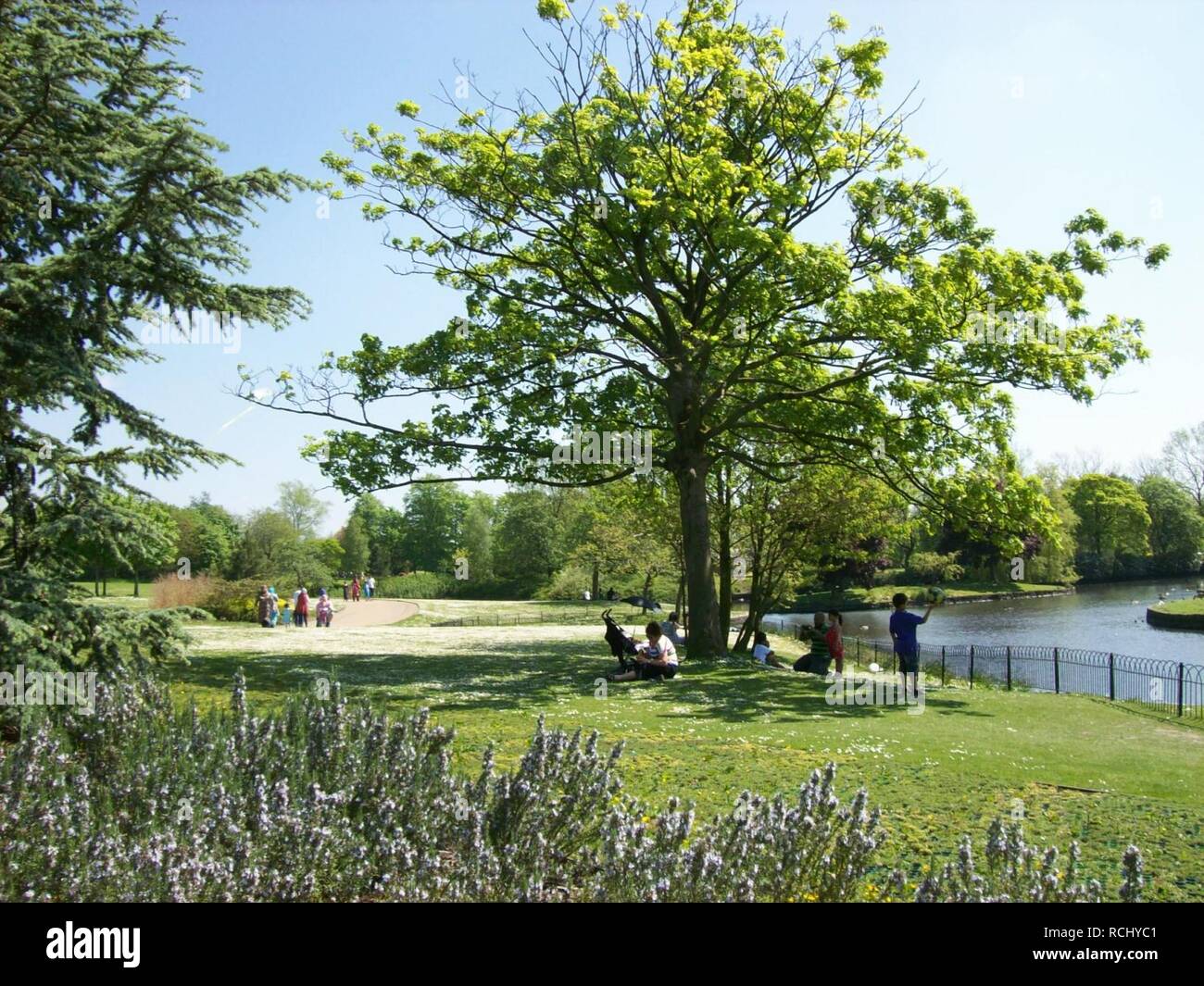 Alexandra Park in spring 2 Stock Photo - Alamy
