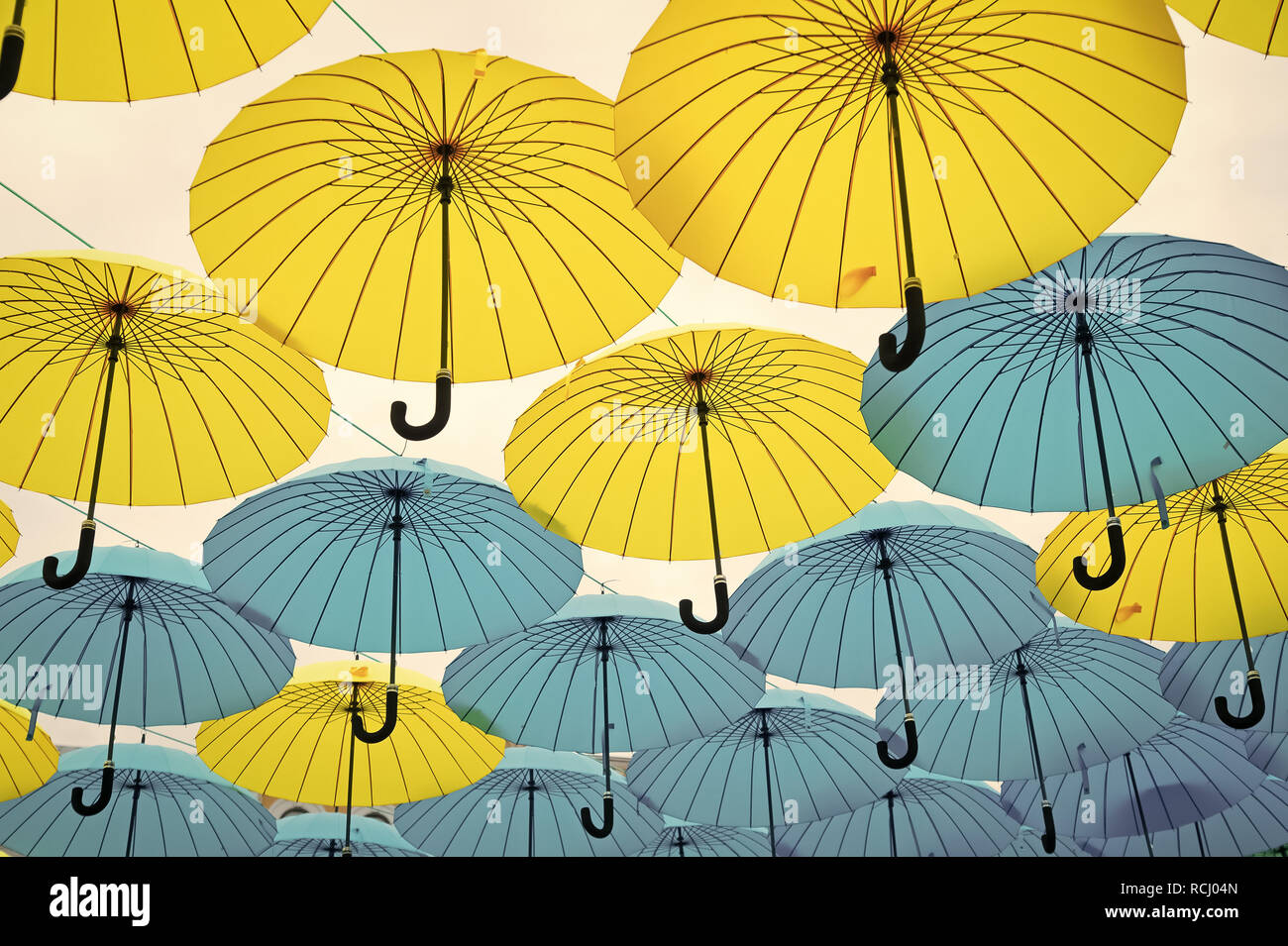 Umbrellas float in sky on sunny day. Umbrella sky project installation ...