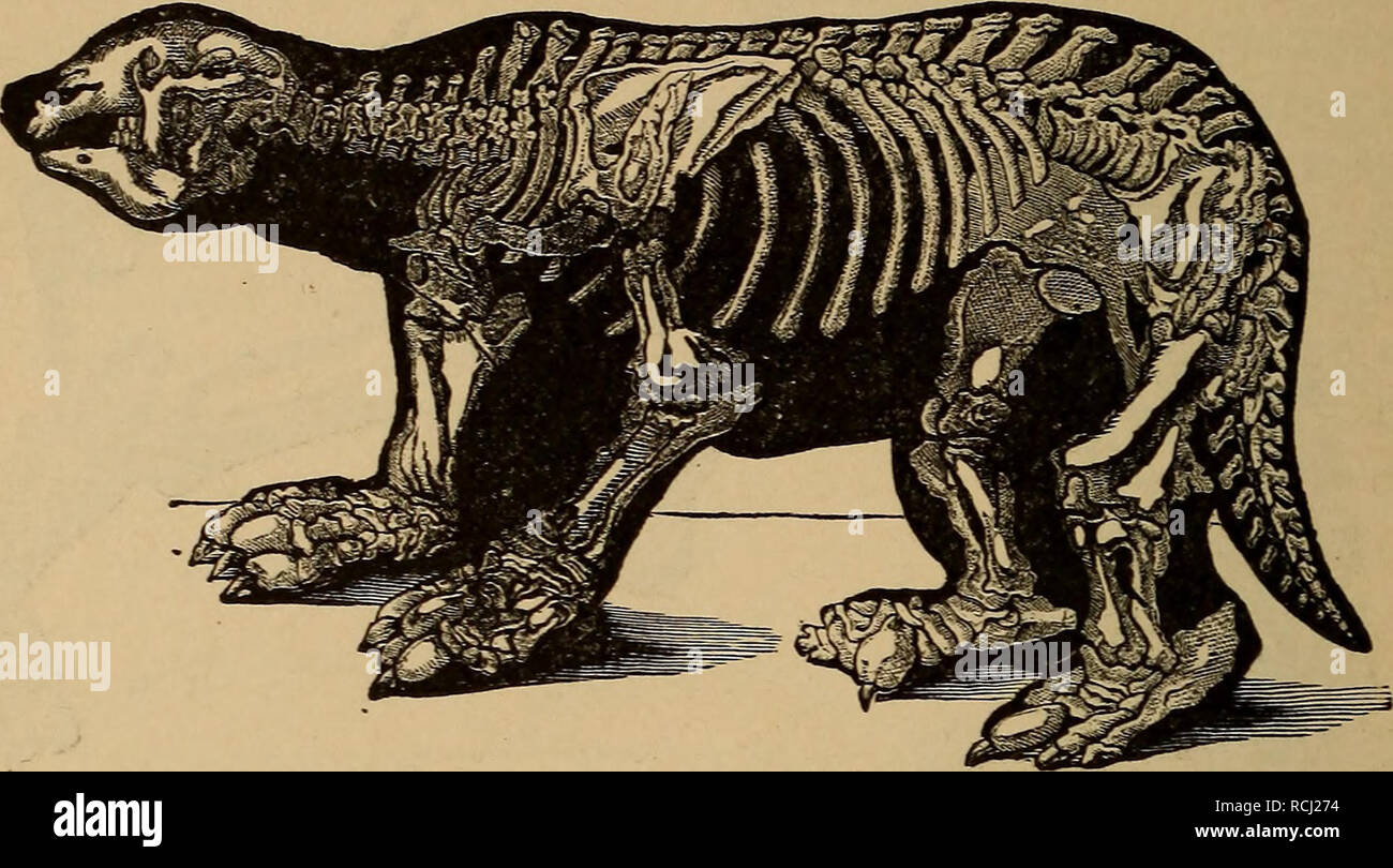 586 feet long hi-res stock photography and images - Alamy