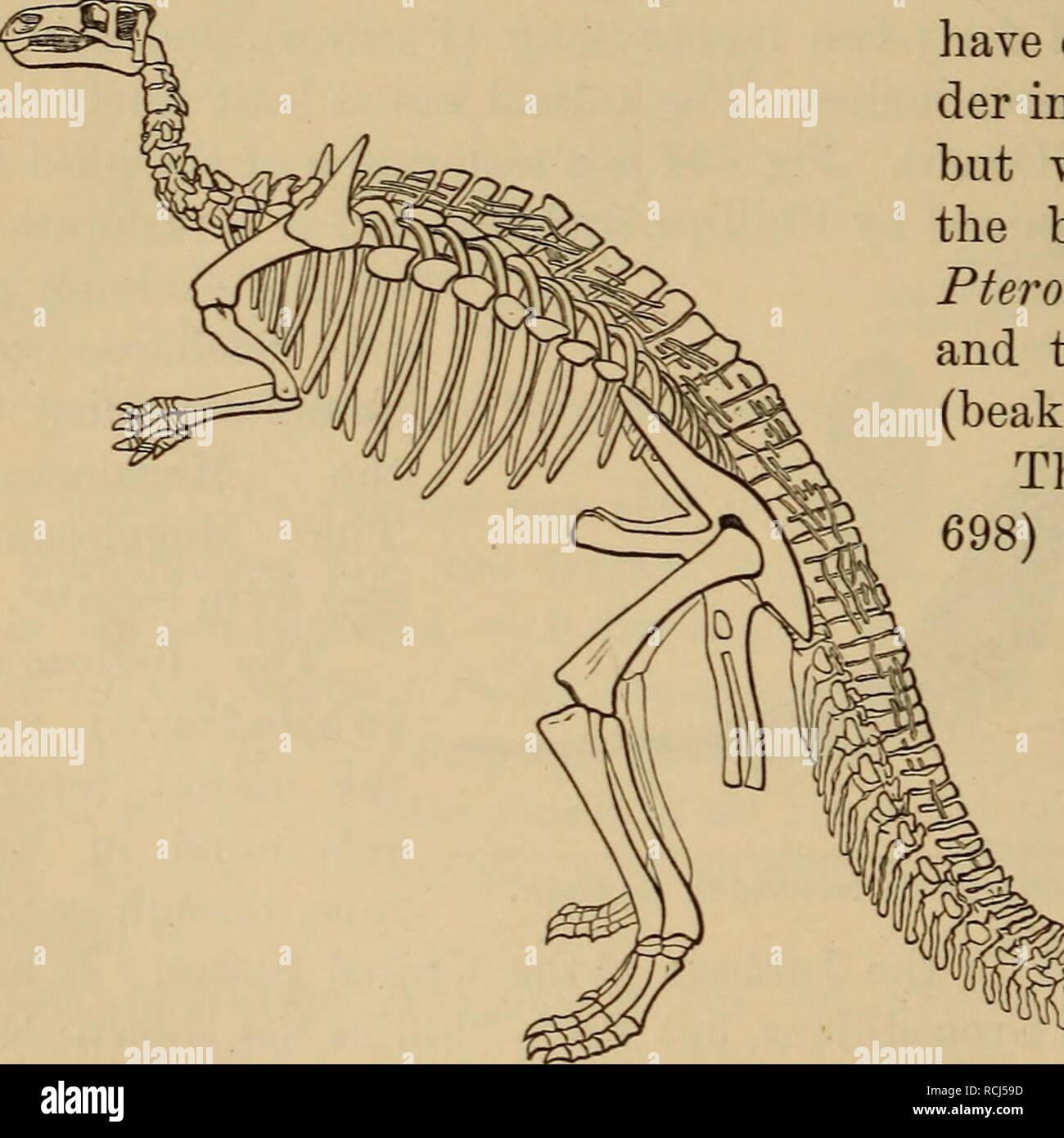. Elements of geology : a text-book for colleges and for the general ...