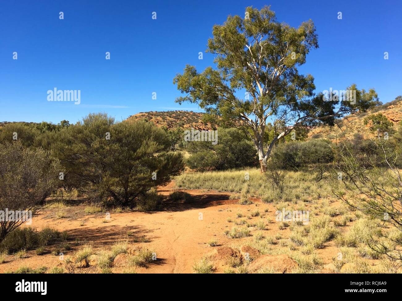 Alice Telegraph Historical Reserve Stock Photo - Alamy