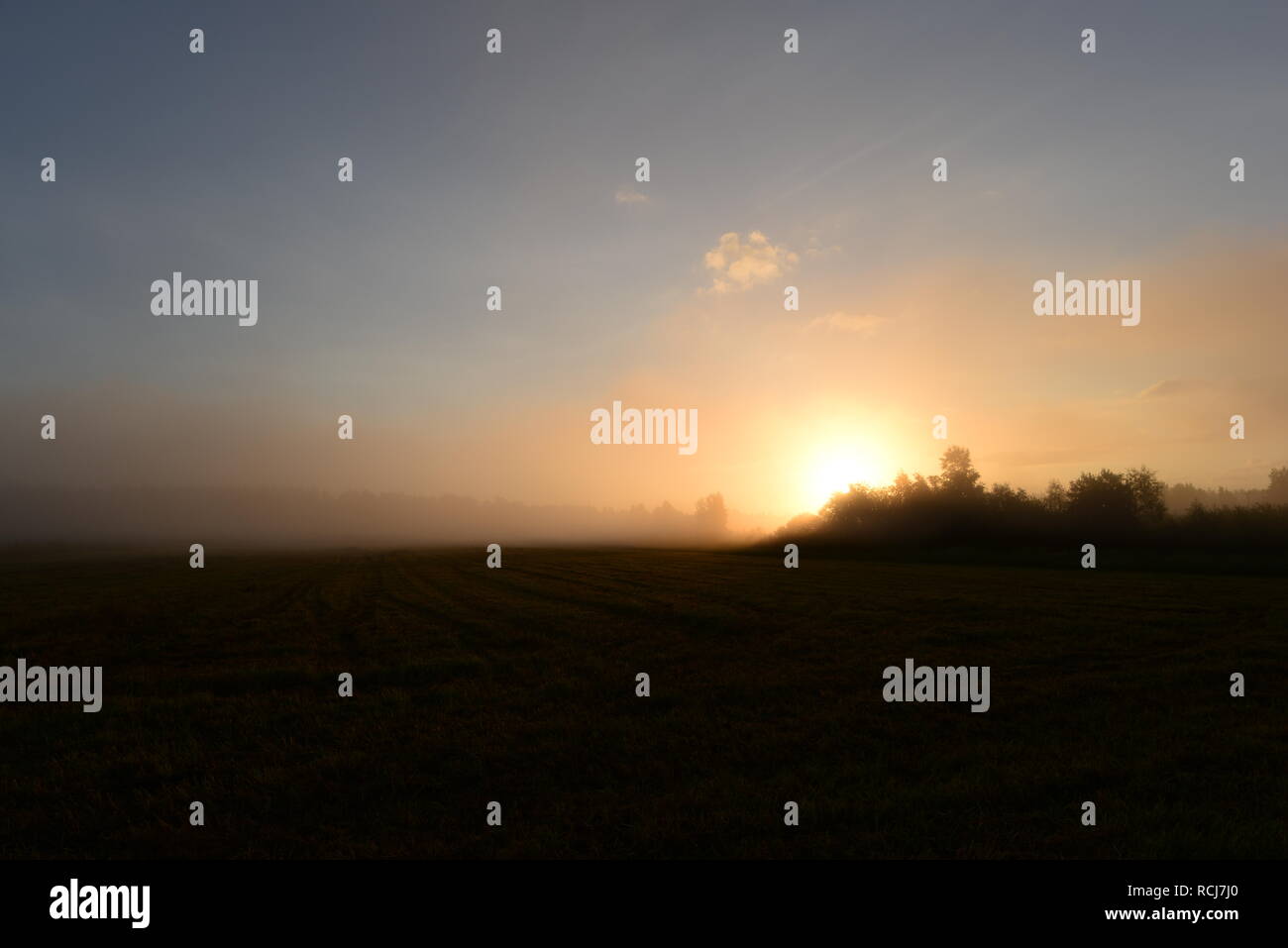 Sunrise color palette hi-res stock photography and images - Alamy