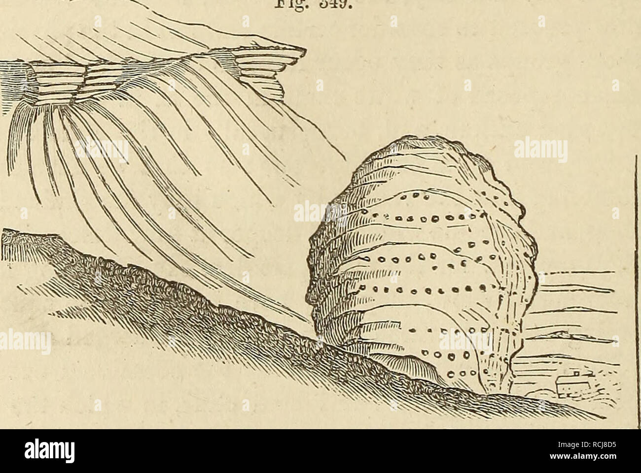 . Elements of geology, or, The ancient changes of the earth and its ...