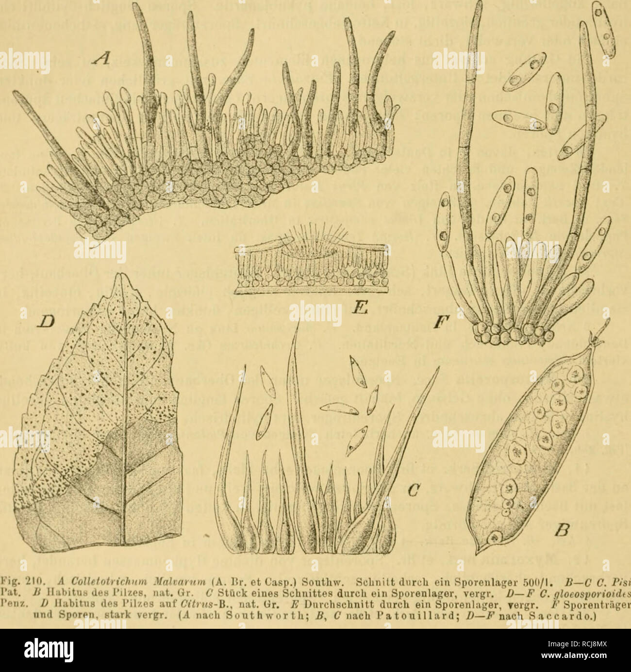 Ba Hmen High Resolution Stock Photography and Images - Alamy