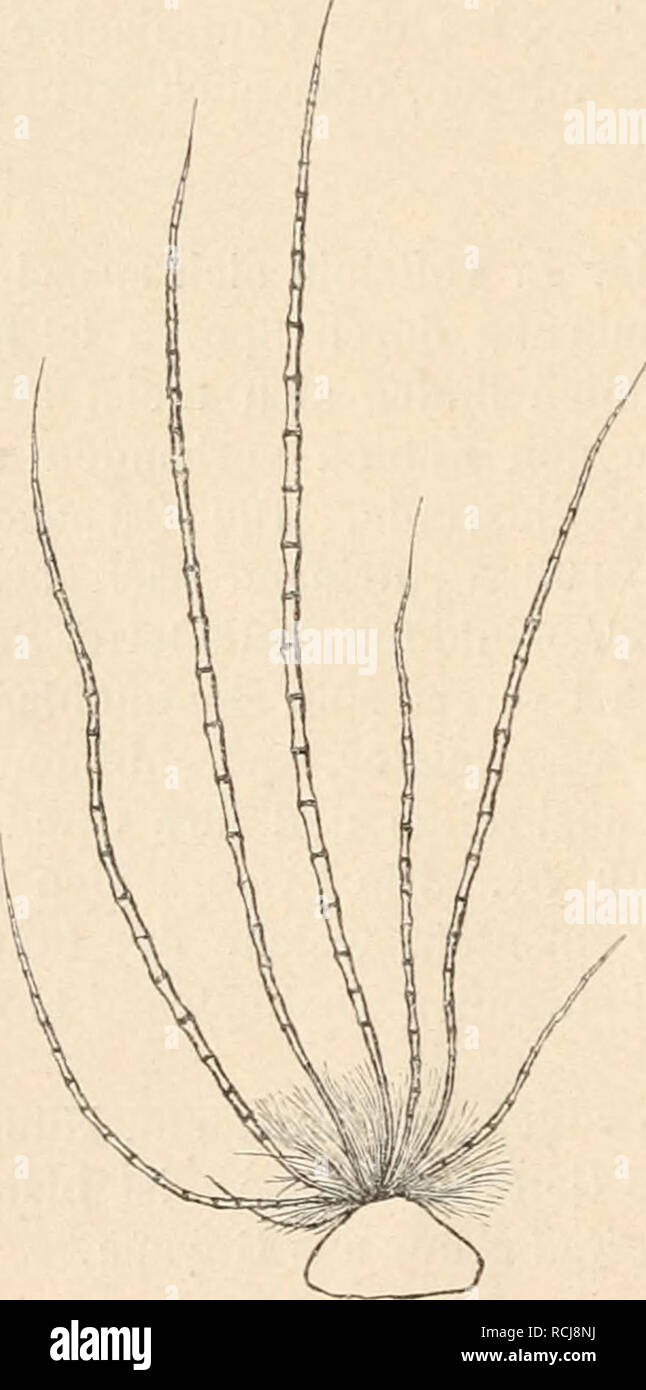 Alternierend hi-res stock photography and images - Alamy