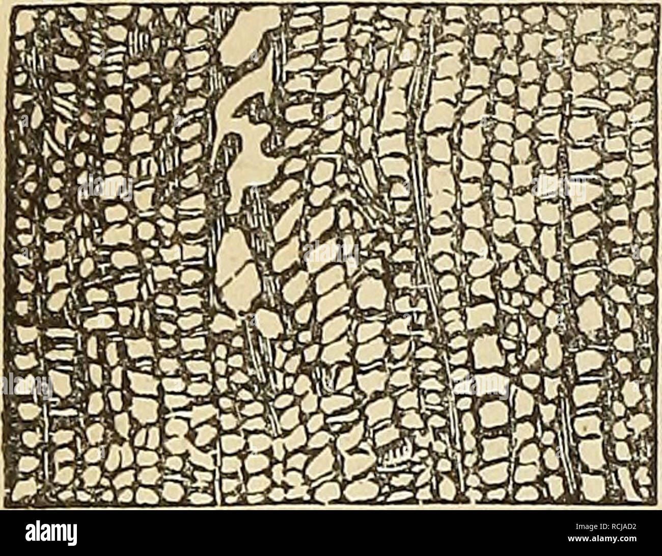 Craigleith quarry hi-res stock photography and images - Alamy