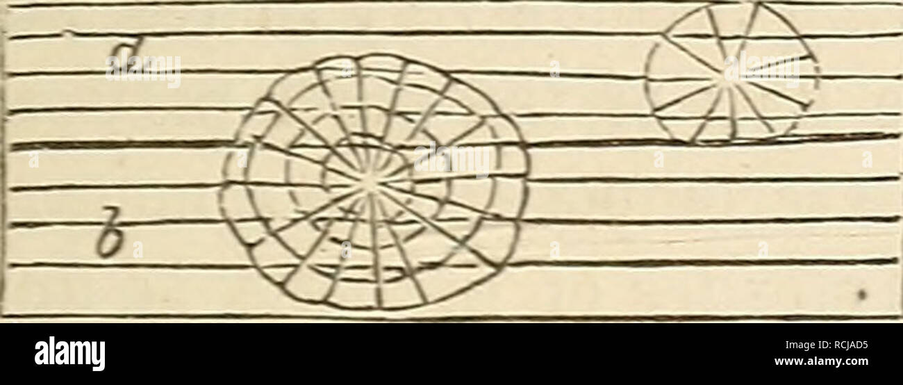 . Elements of geology, or, The ancient changes of the earth and its ...