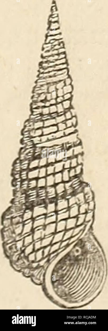 . Elements of geology, or, The ancient changes of the earth and its ...