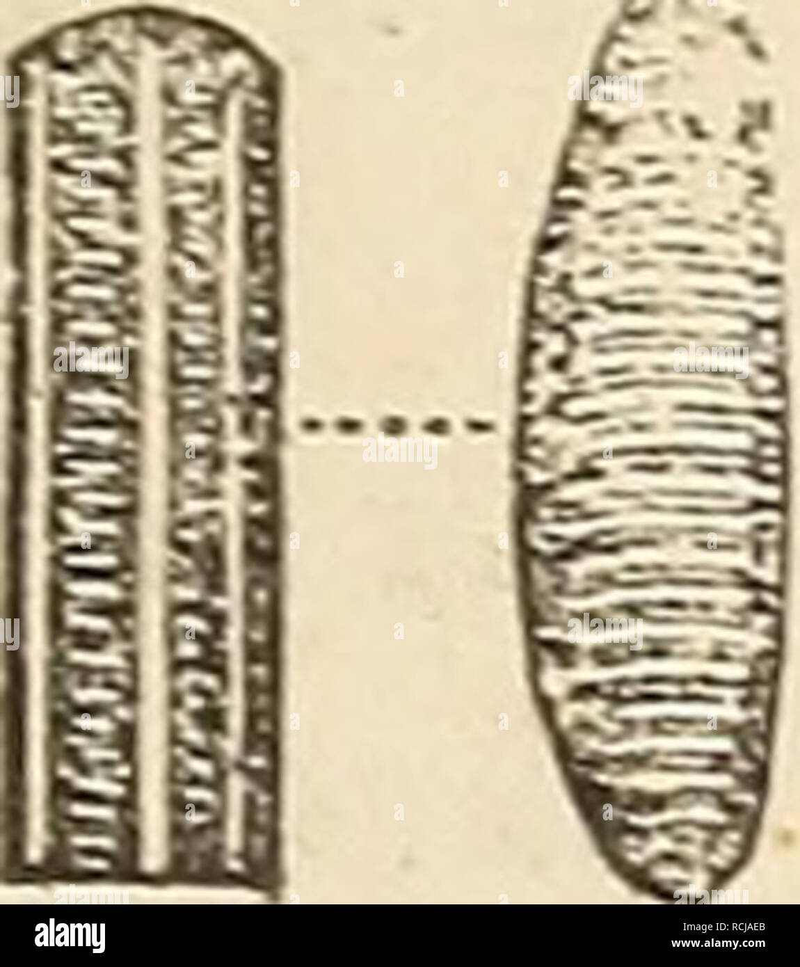 Siliceous stones hi-res stock photography and images - Alamy