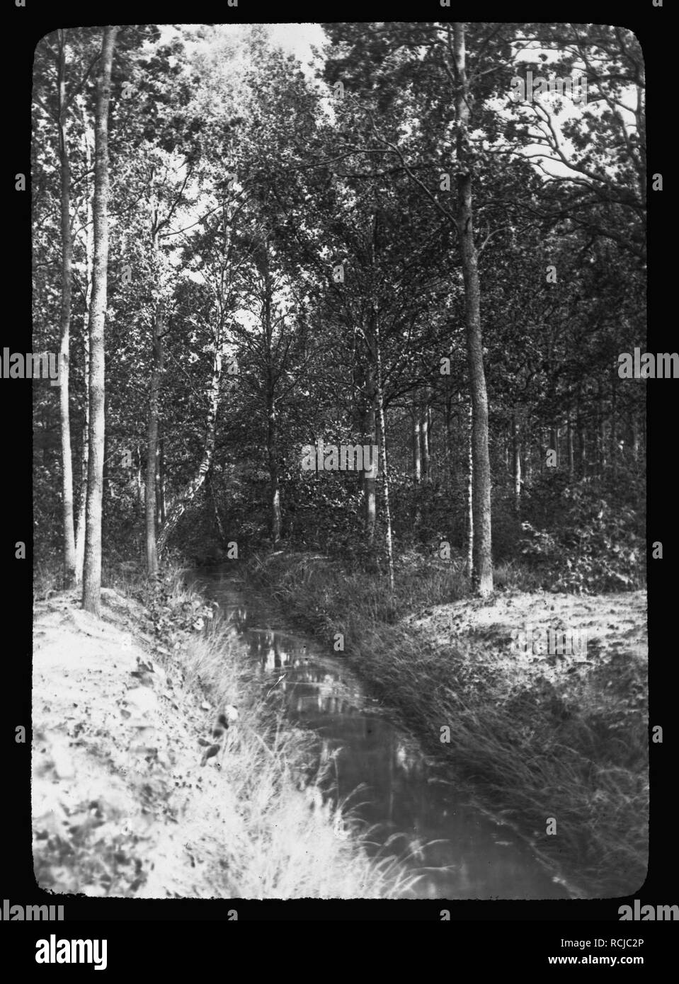 Bosbeek High Resolution Stock Photography and Images - Alamy