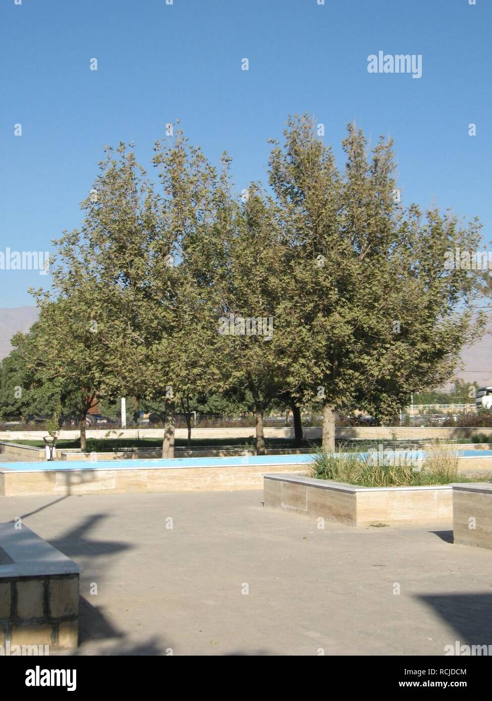 Ridha ali al hi-res stock photography and images - Alamy