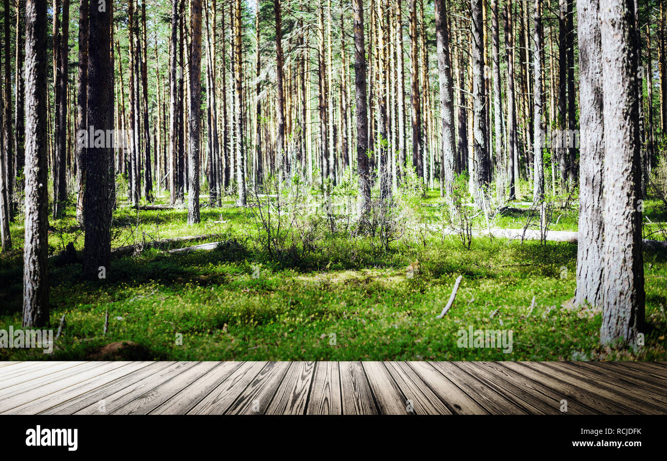 Ecology background outdoor landscape Stock Photo - Alamy