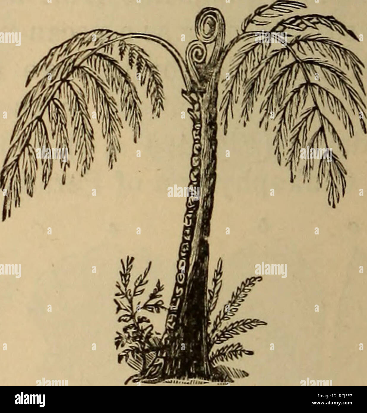 . Elements of geology : a text-book for colleges and for the general ...