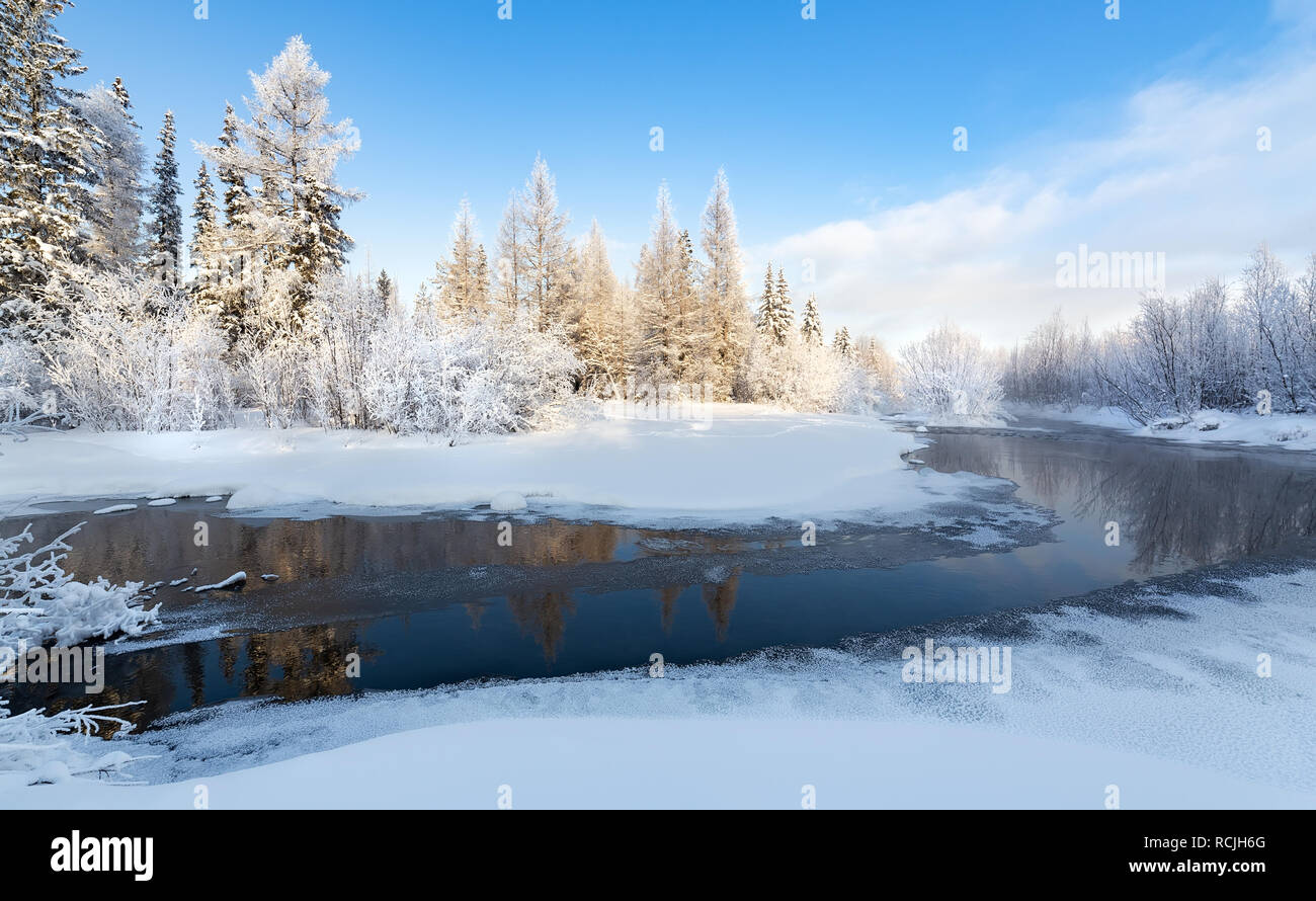 Winter forest covered with snow near a small creek in South Yakutia ...