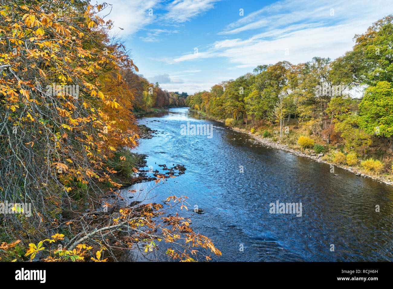 Autumn colours Royal Deeside, Looking along River Dee at Banchory ...