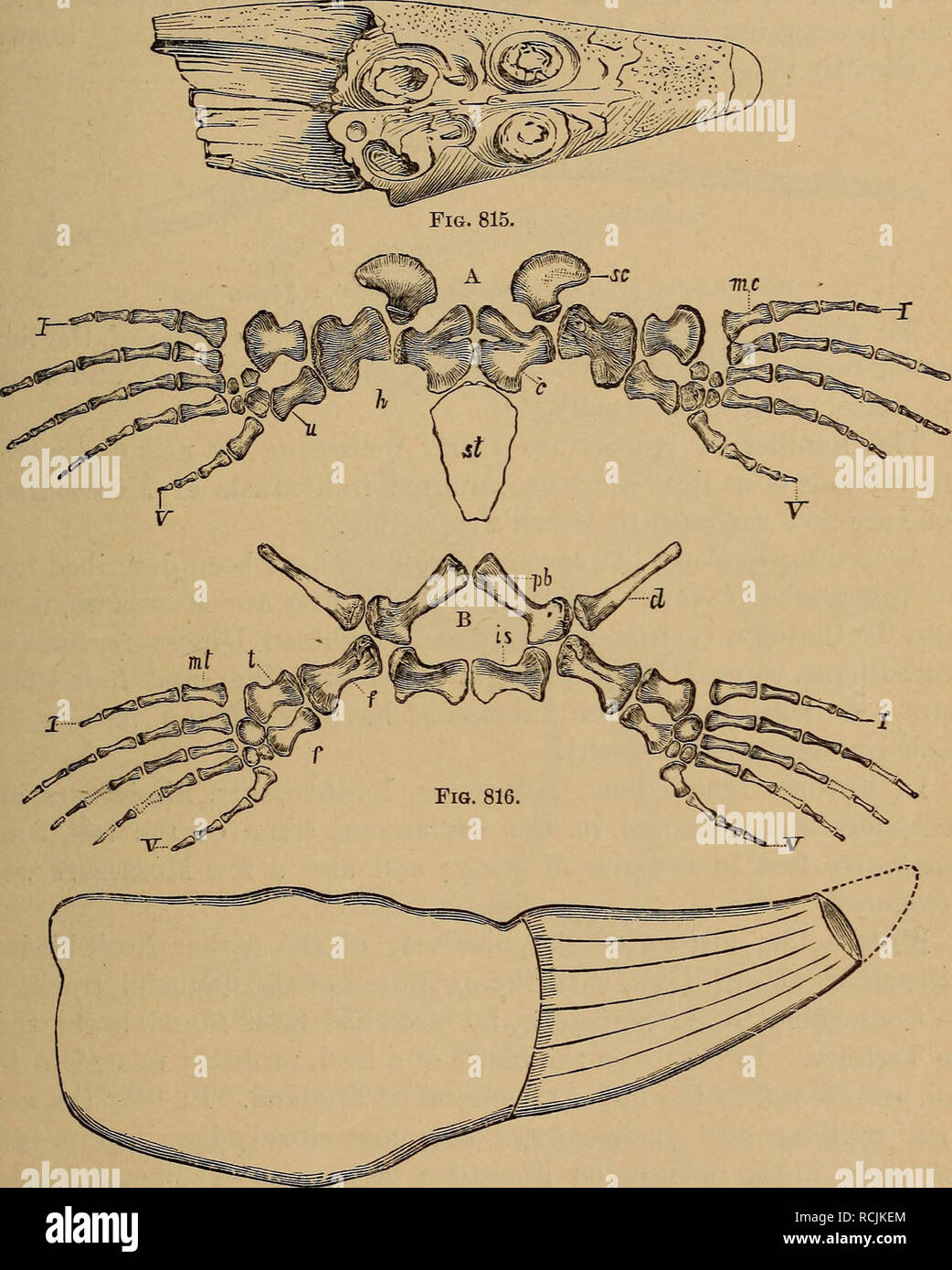 River mosa hi-res stock photography and images - Alamy