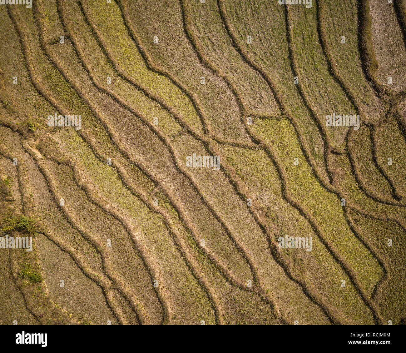 Aerial top down shot fields hi-res stock photography and images - Alamy