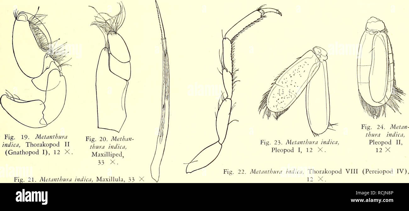 Was nicht zusammen passt hi-res stock photography and images - Alamy