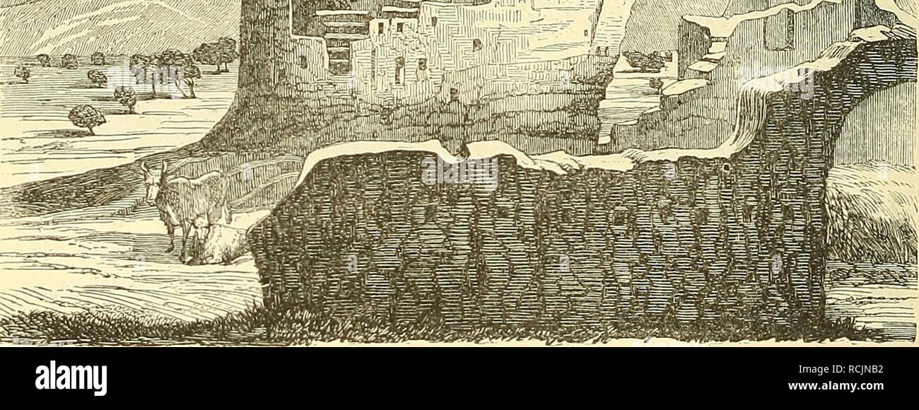 Lapithos hi-res stock photography and images - Alamy