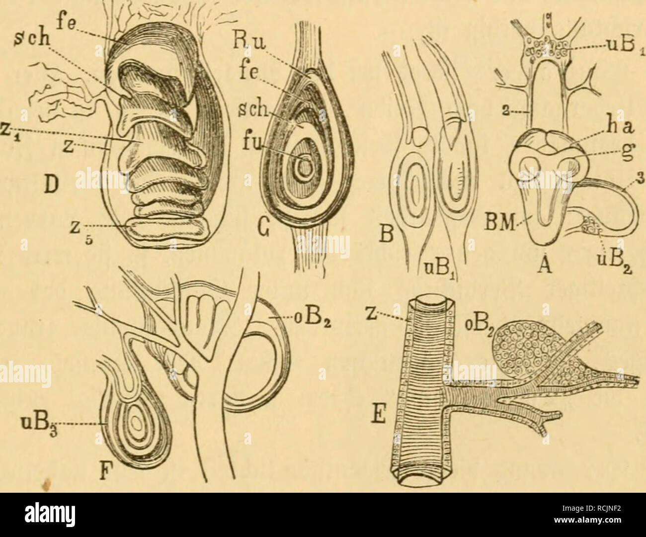 Hk centrale hi-res stock photography and images - Alamy
