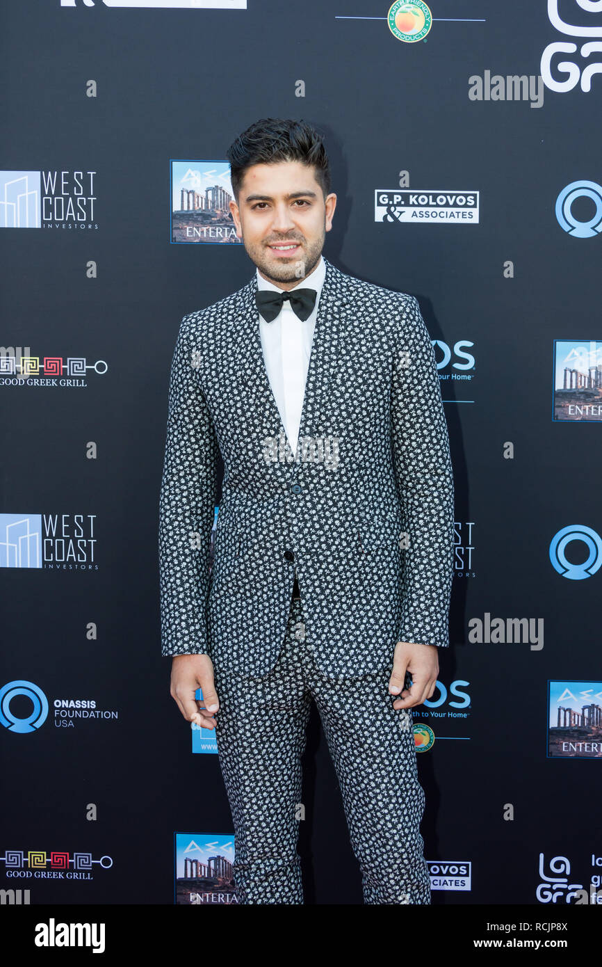 Los Angeles, USA. 10th June, 2018. Beejan Land attends Los Angeles ...