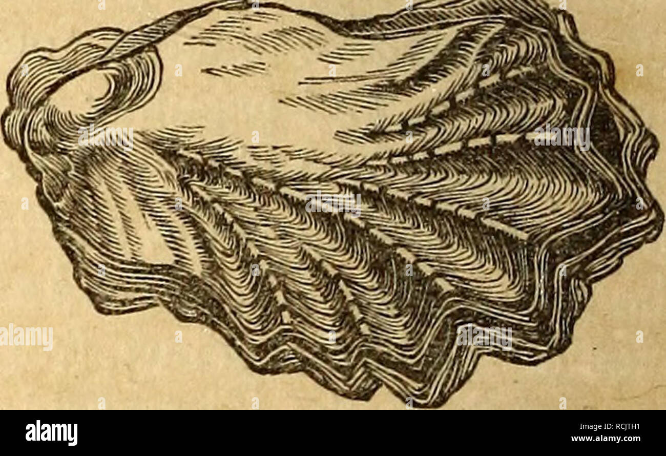 Cornbrash hi-res stock photography and images - Alamy