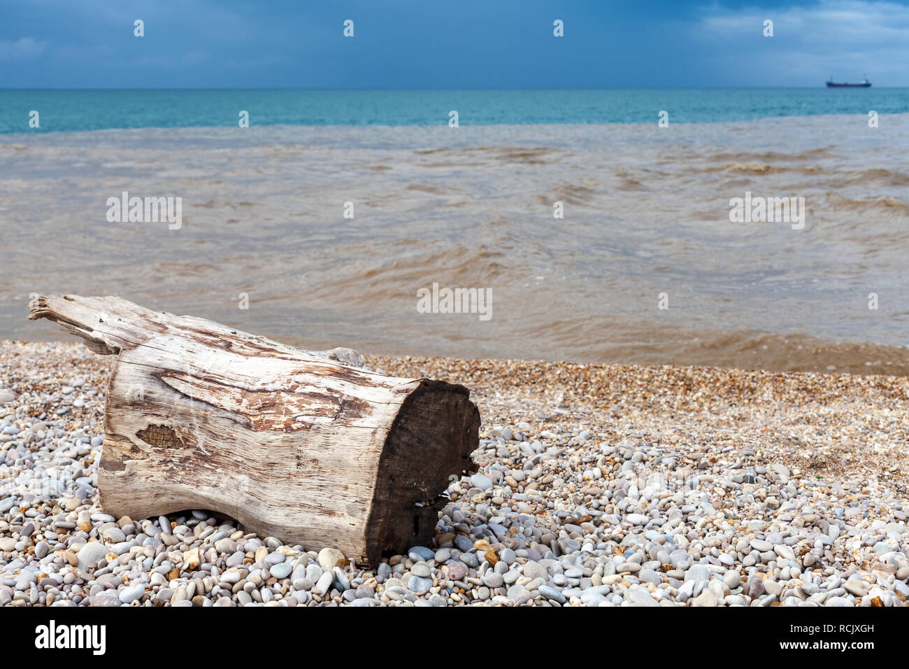 Old log is on the beach, Black Sea coast Stock Photo - Alamy