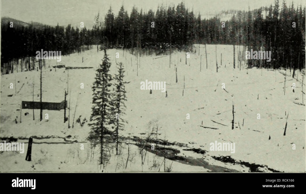 . Elements of forestry. Forests and forestry. SILVICULTURAL SYSTEMS OF ...