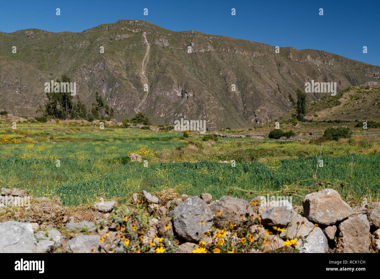 Natives andes hi-res stock photography and images - Alamy