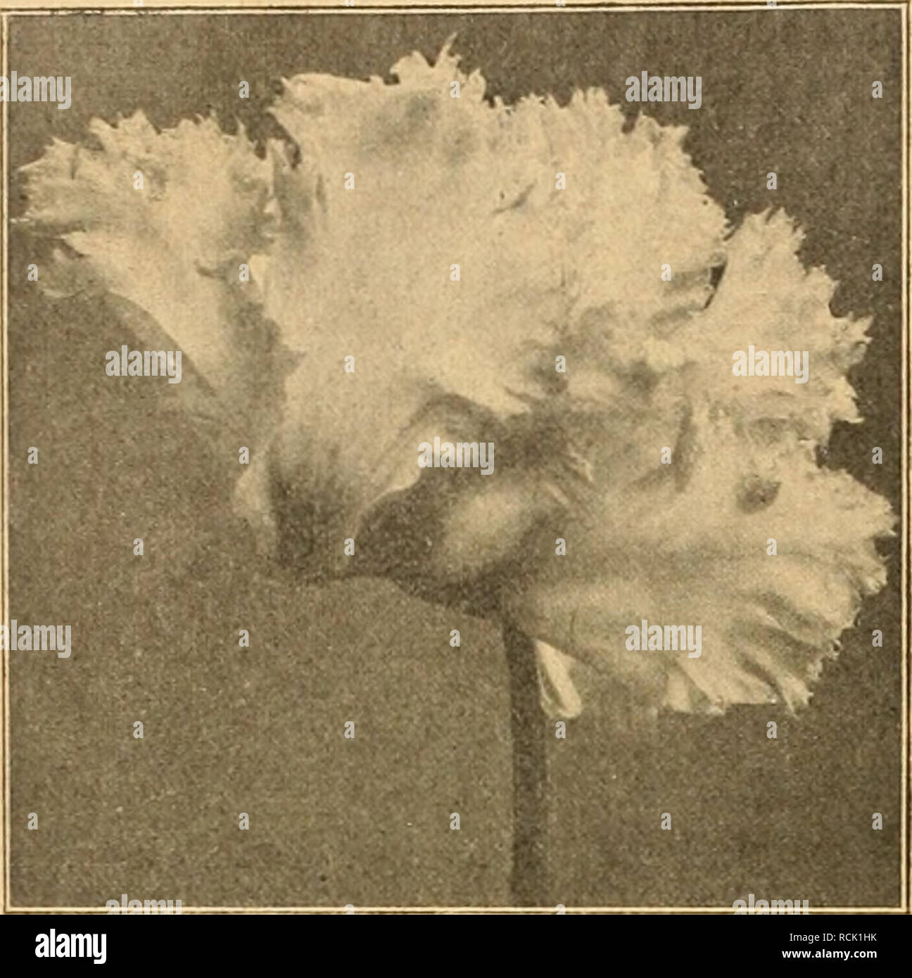 Heller typ hi-res stock photography and images - Alamy