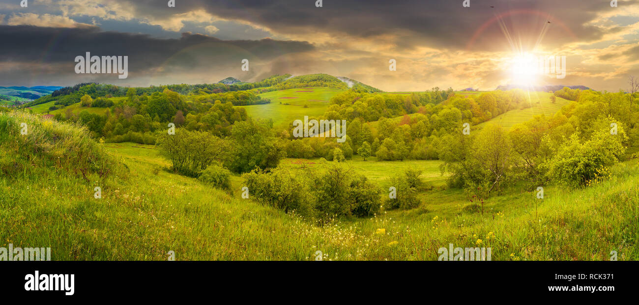 Hills with meadows and trees hi-res stock photography and images - Alamy
