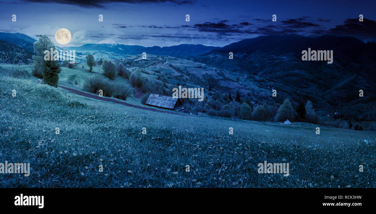 dandelions on rural field in mountains at night in full moon light ...