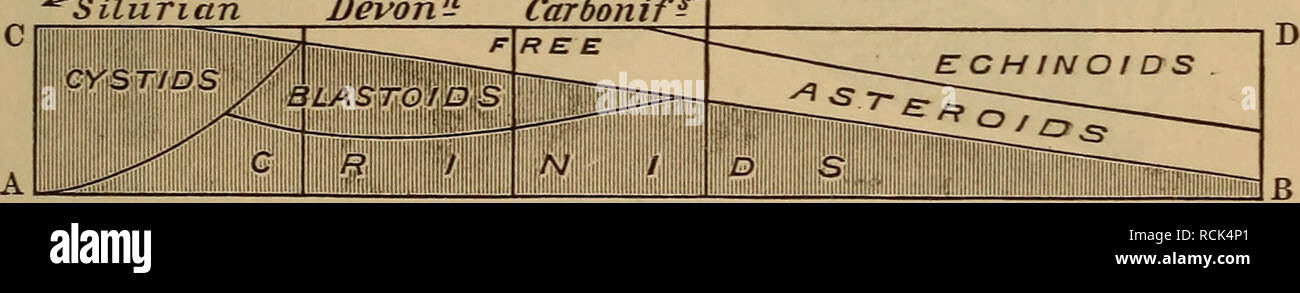 Neozoic hi-res stock photography and images - Alamy