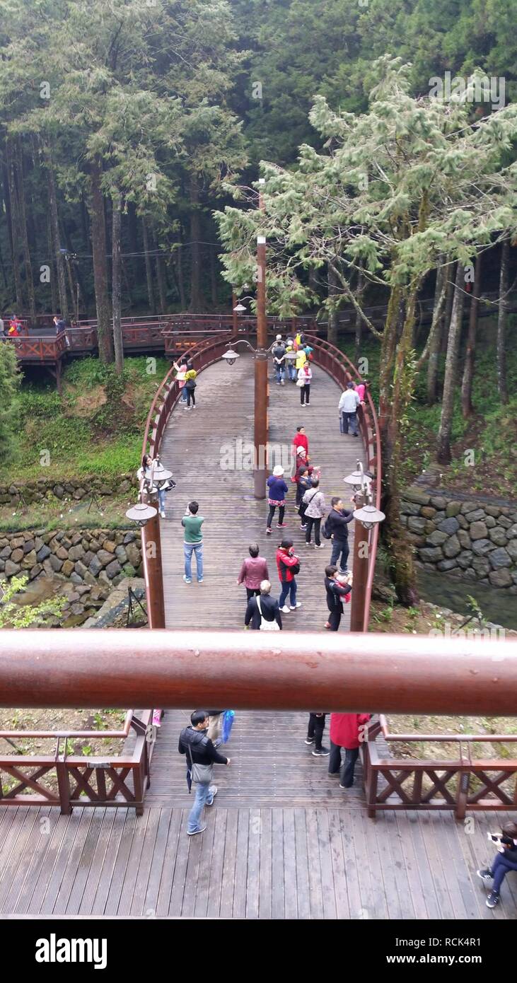 Alishan national scenic area hi-res stock photography and images - Alamy